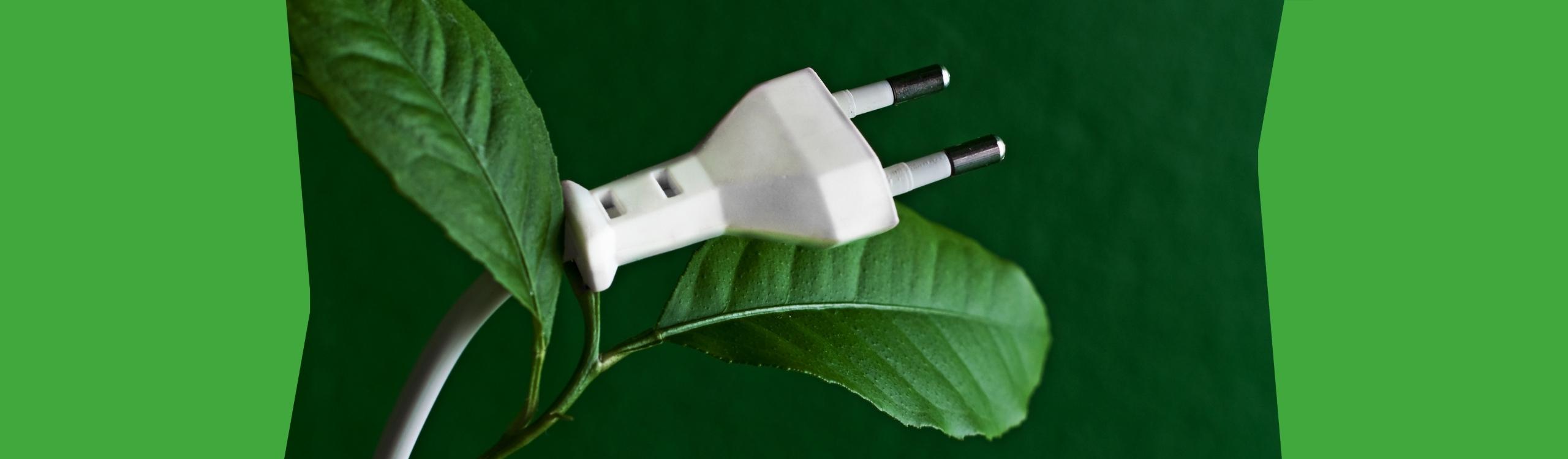 Hoe kan ik controleren of ik een geldig energielabel heb? | Woninglabel.nl
